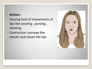 MUSCLES OF FACIAL EXPRESSION.pptx