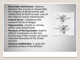 MUSCLES OF FACIAL EXPRESSION.pptx