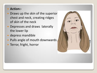 MUSCLES OF FACIAL EXPRESSION.pptx