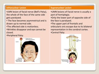 MUSCLES OF FACIAL EXPRESSION.pptx