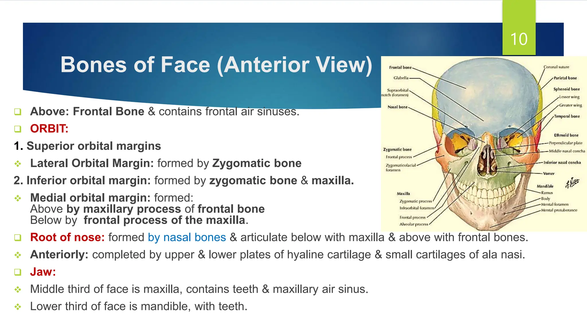 Face and Muscles of facial expression.pptx