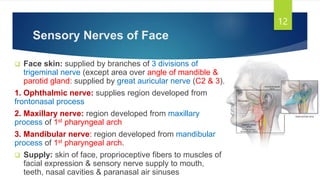 Face and Muscles of facial expression.pptx
