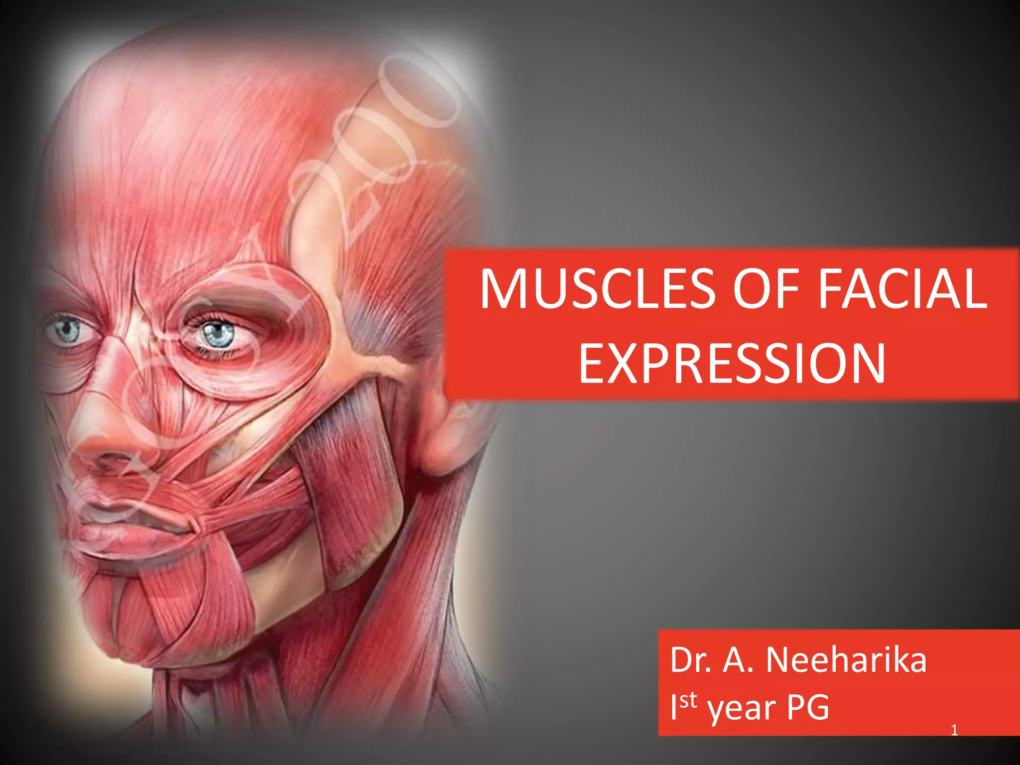 Muscles of facial expression neeha | PPTX