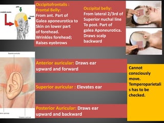 Muscles of facial expression neeha | PPTX
