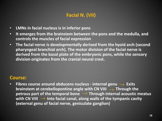 Muscles of facial expression neeha | PPTX