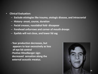 Muscles of facial expression neeha | PPTX