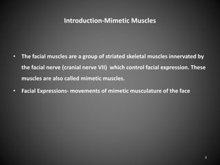 Muscles of facial expression neeha | PPTX