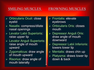 Musclesoffacialexpression new | PPTX