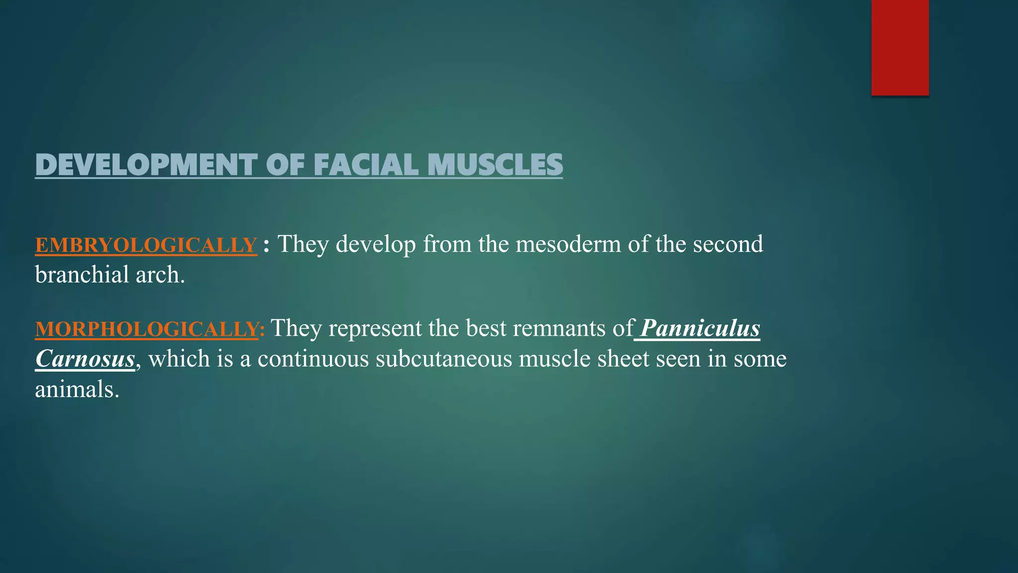 Muscles of facial expression and mastication | PPTX