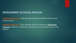 Muscles of facial expression and mastication | PPTX
