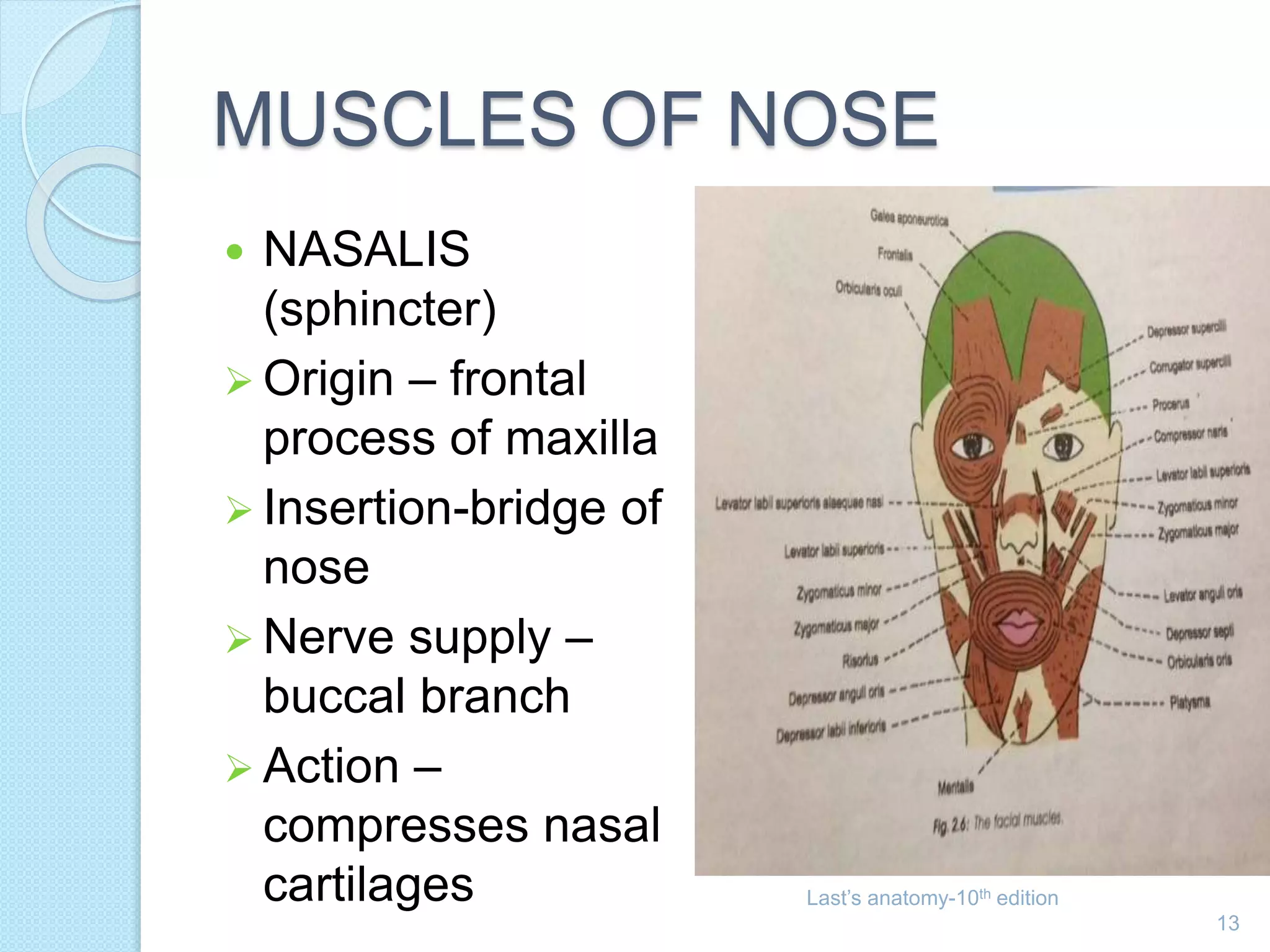 Muscles of facial expression and muscles of tongue | PPTX