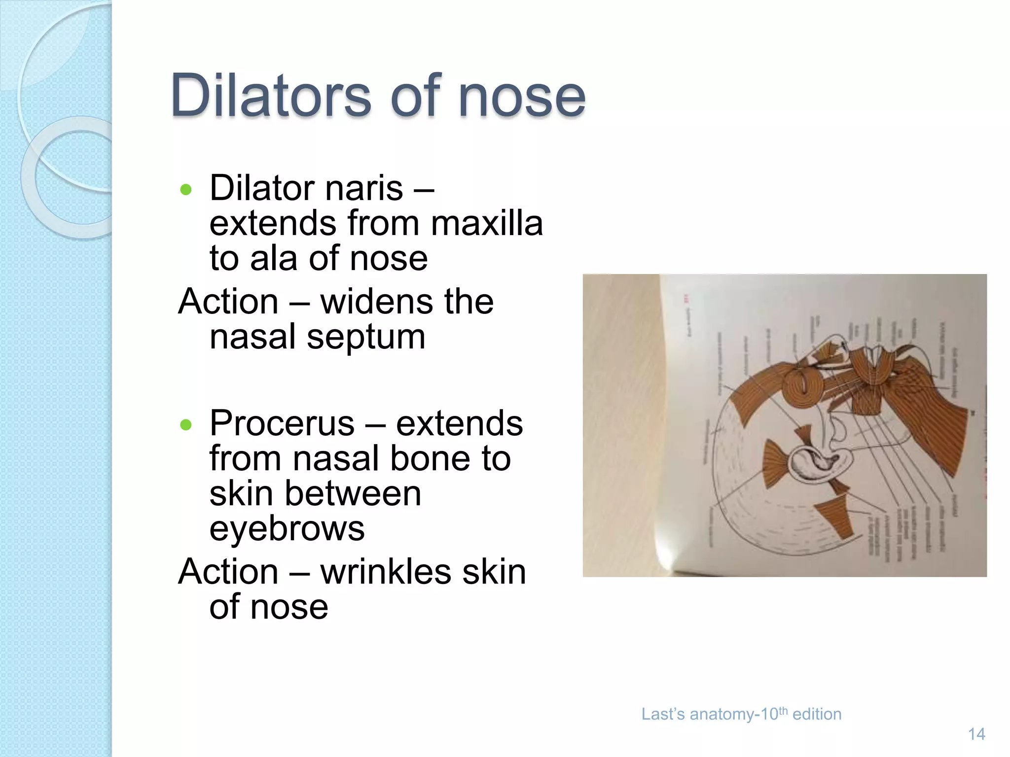 Muscles of facial expression and muscles of tongue | PPTX