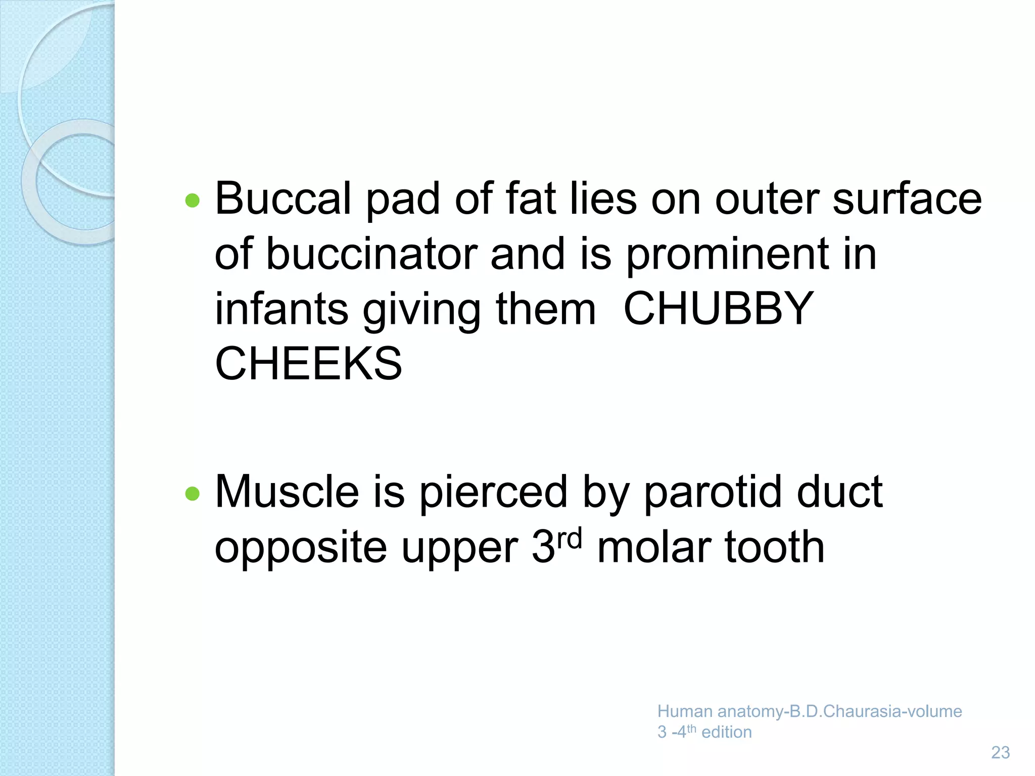 Muscles of facial expression and muscles of tongue | PPTX