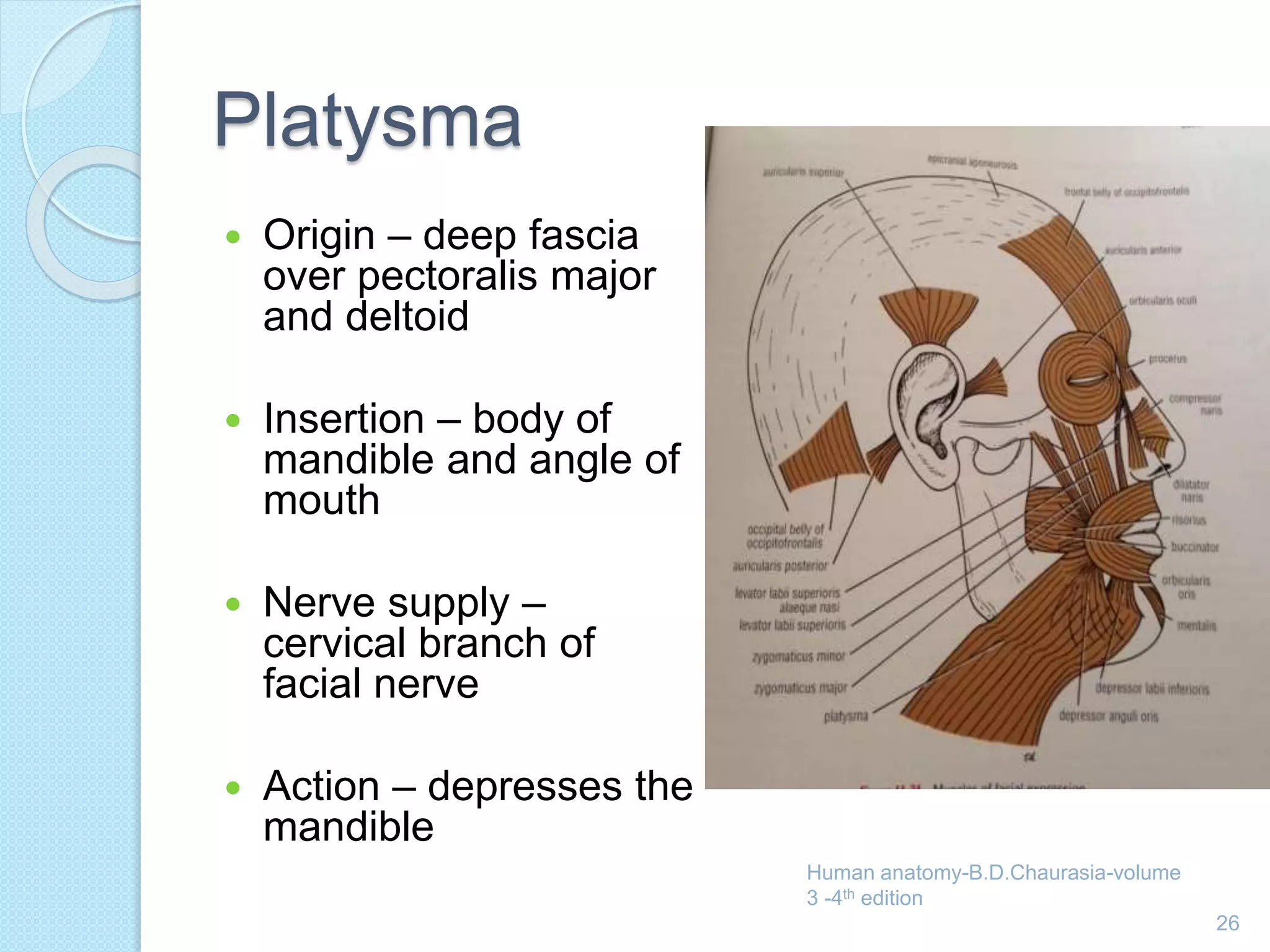 Muscles of facial expression and muscles of tongue | PPTX