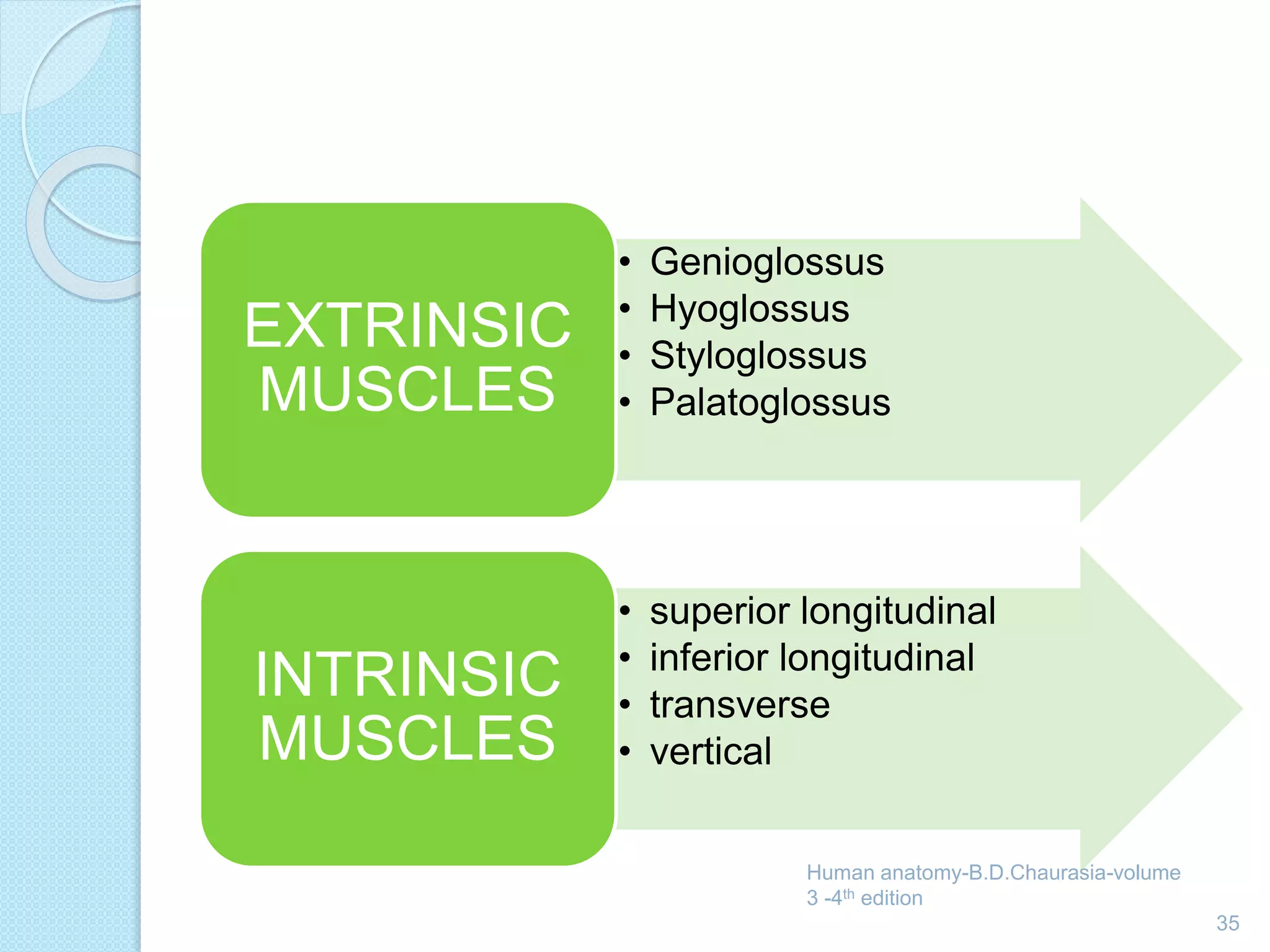 Muscles of facial expression and muscles of tongue | PPTX