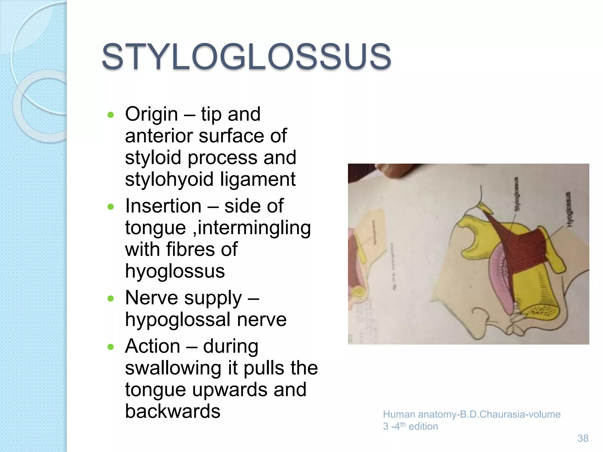 Muscles of facial expression and muscles of tongue | PPTX