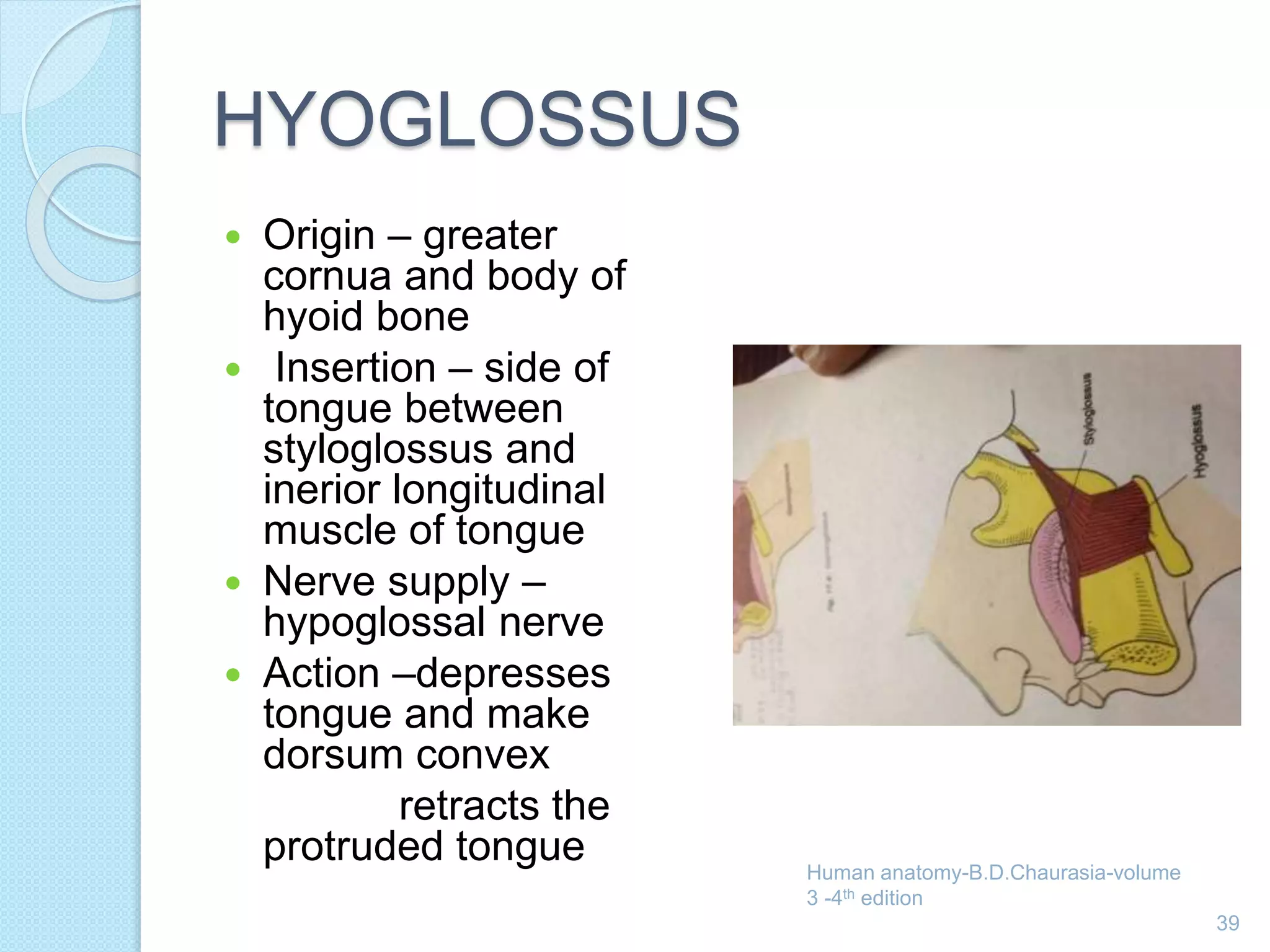 Muscles of facial expression and muscles of tongue | PPTX
