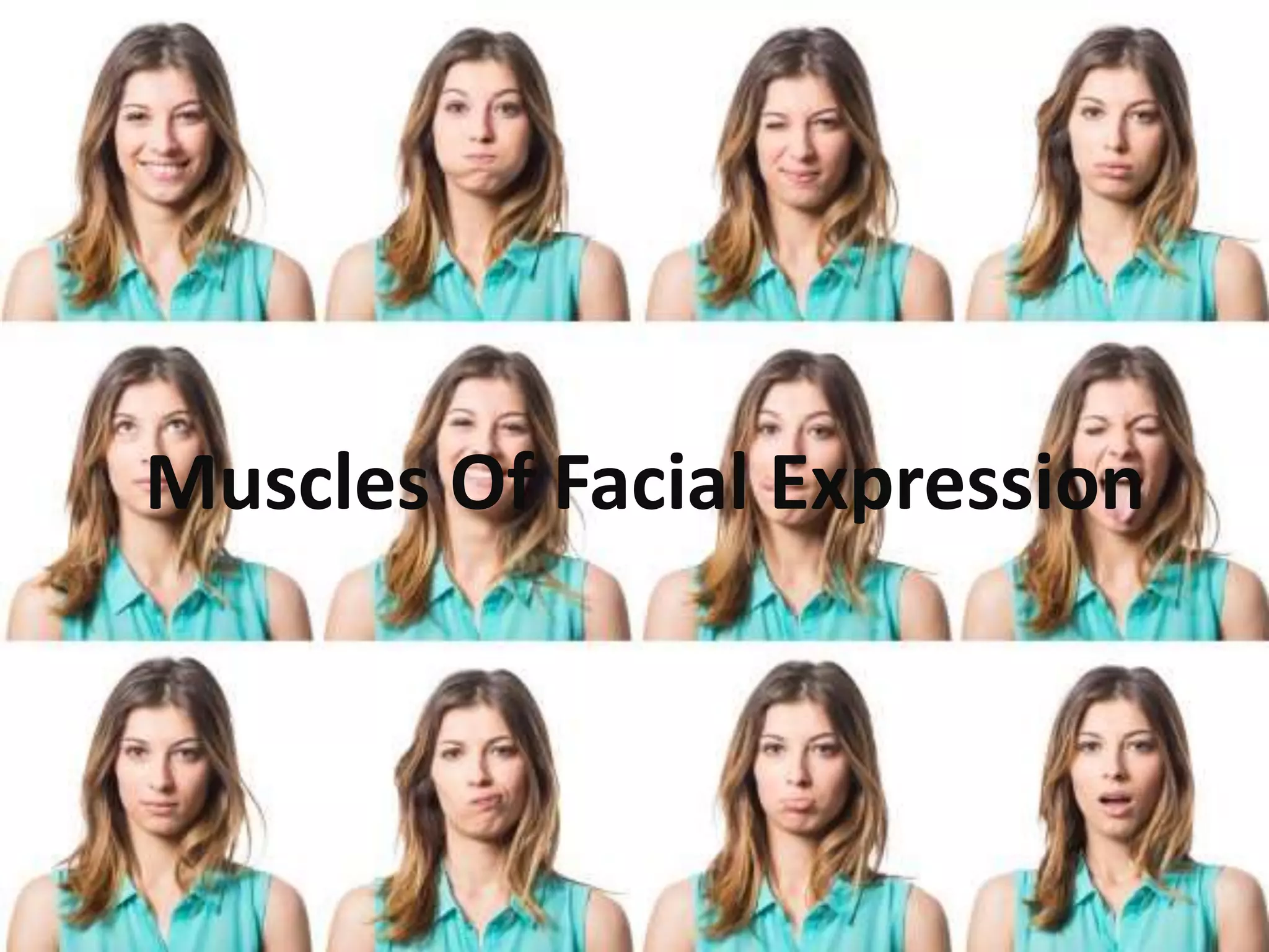 Muscles of facial expression | PPTX