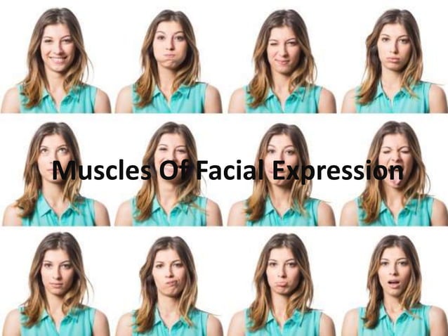 Muscles of facial expression | PPTX | Eye and Vision Conditions ...