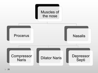 Muscles of facial expression | PPTX