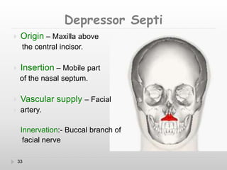 Muscles of facial expression | PPTX | Eye and Vision Conditions ...