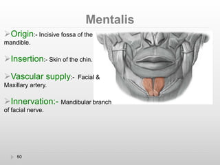 Muscles of facial expression | PPTX