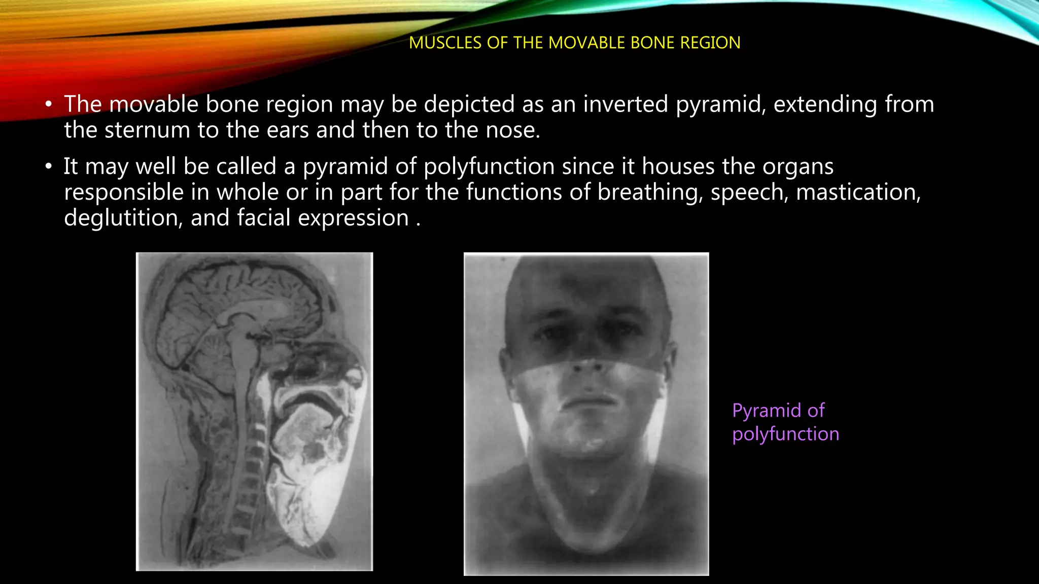 Muscles of facial expression (prostho) | PPTX