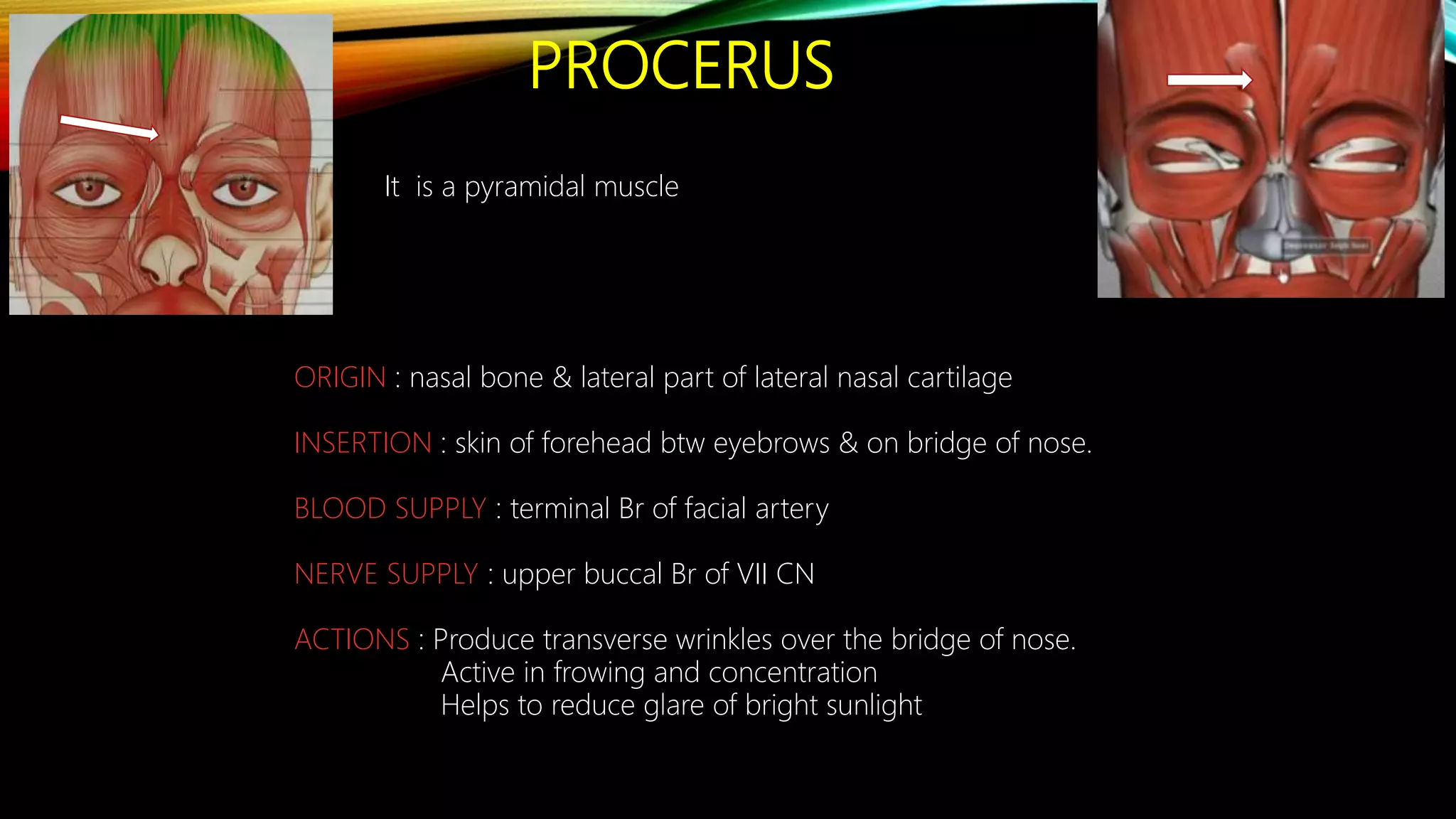 Muscles of facial expression (prostho) | PPTX