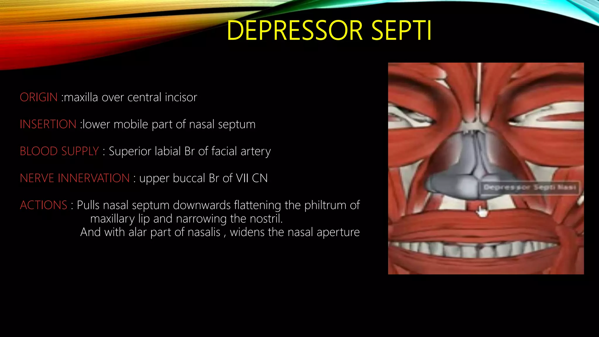 Muscles of facial expression (prostho) | PPTX
