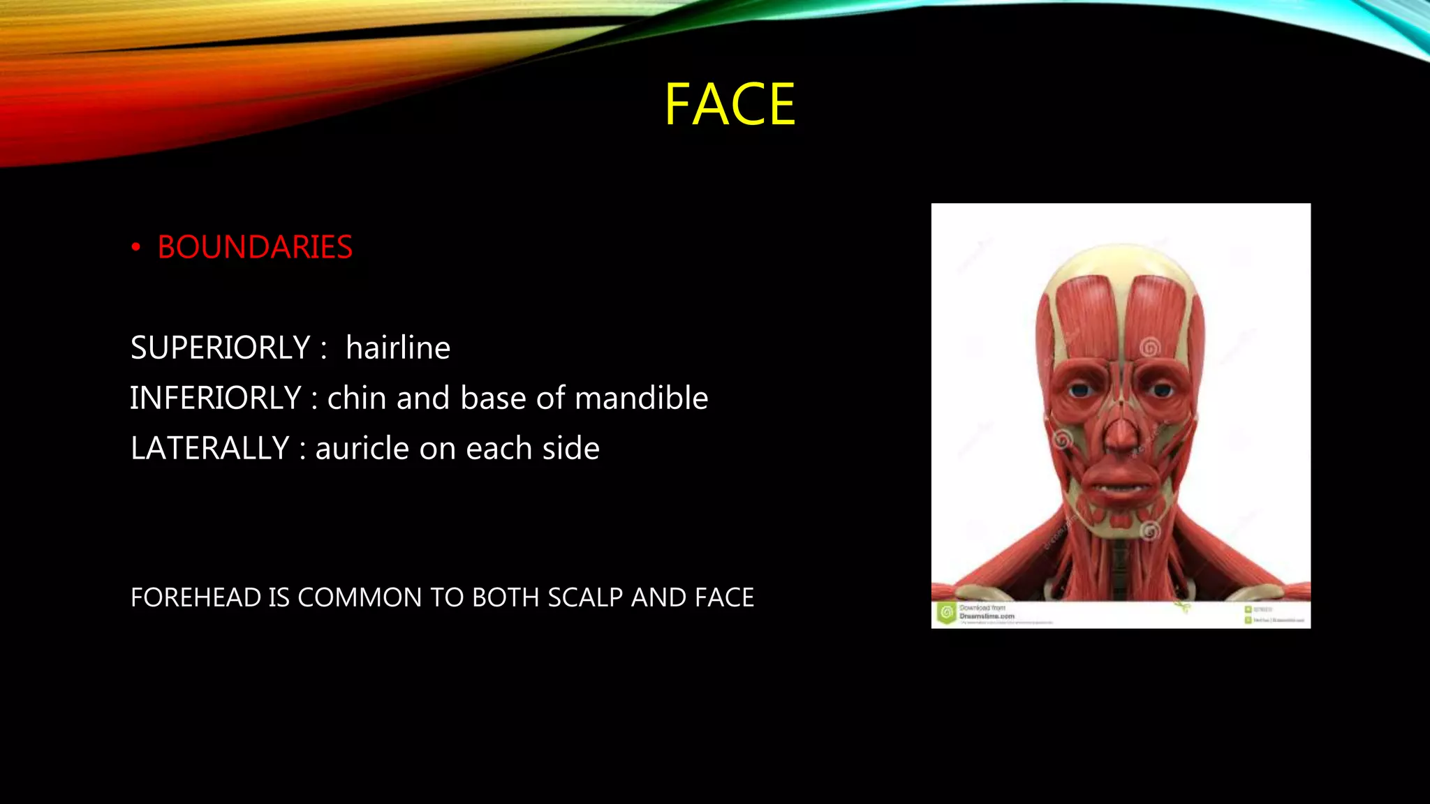 Muscles of facial expression (prostho) | PPTX
