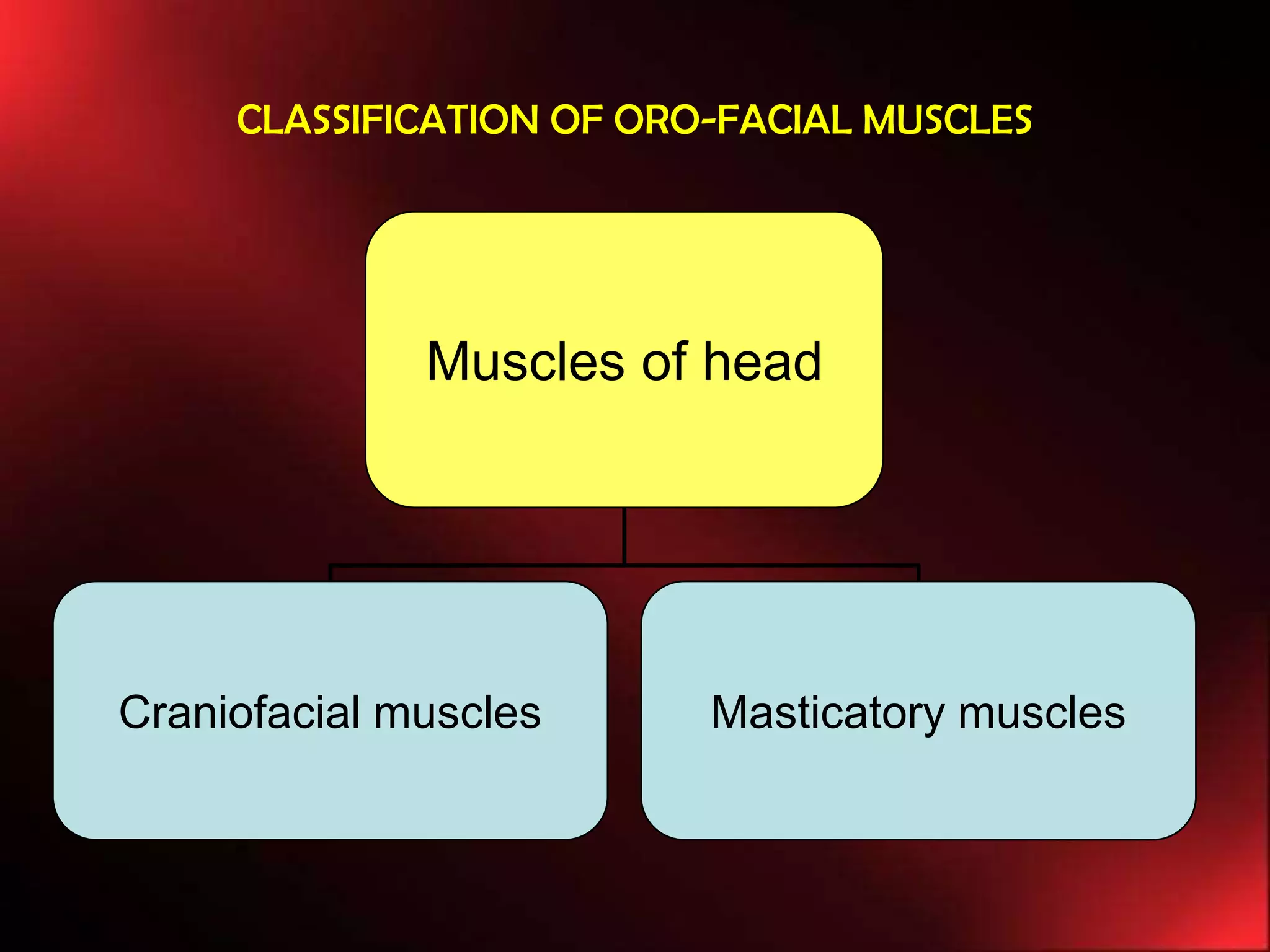 Muscles of facial expressions | PPTX