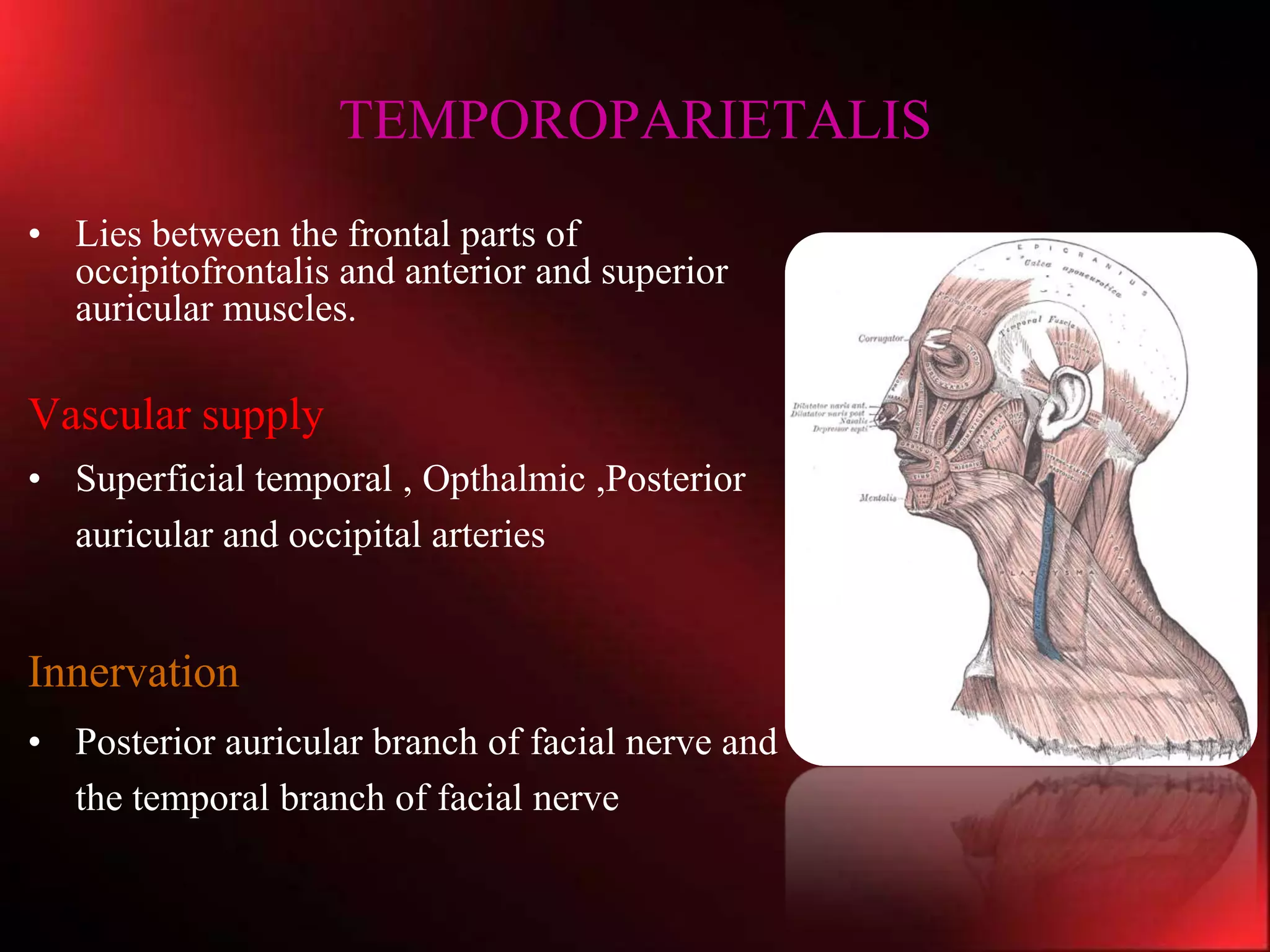 Muscles of facial expressions | PPTX
