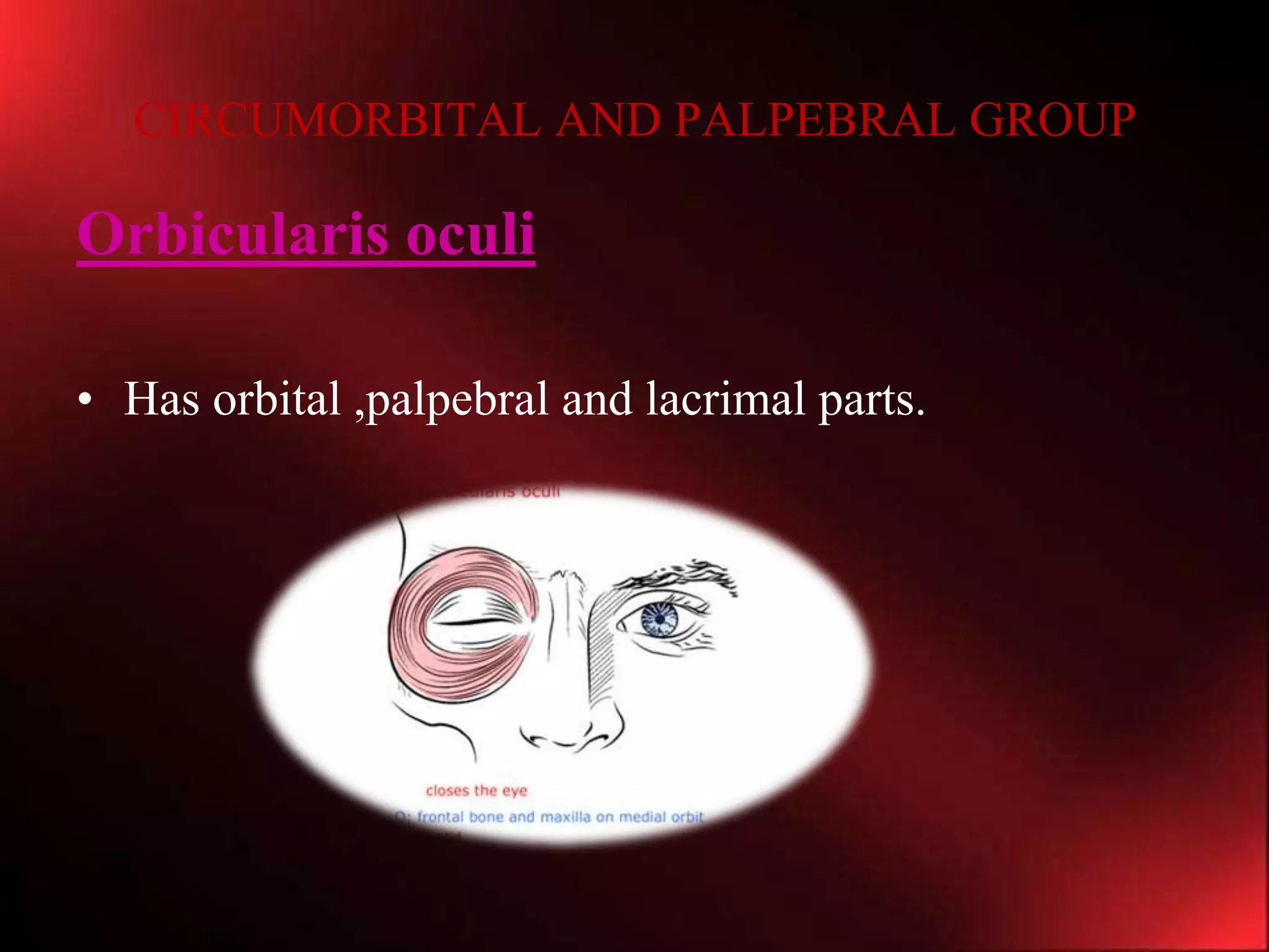 Muscles of facial expressions | PPTX