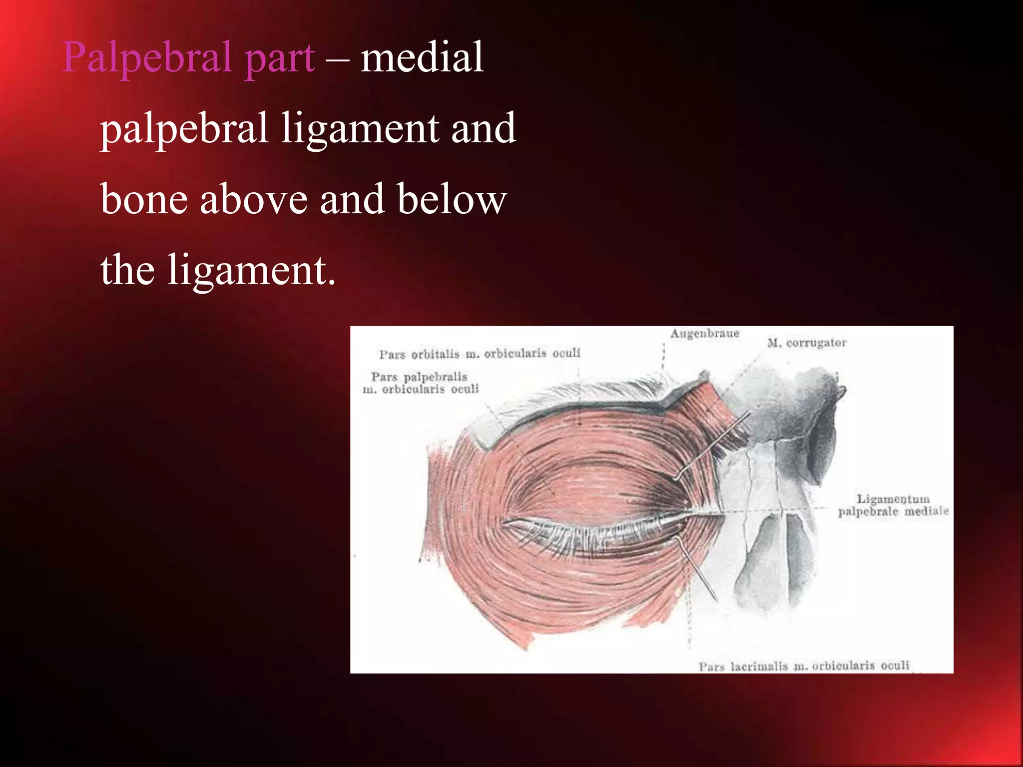 Muscles of facial expressions | PPTX