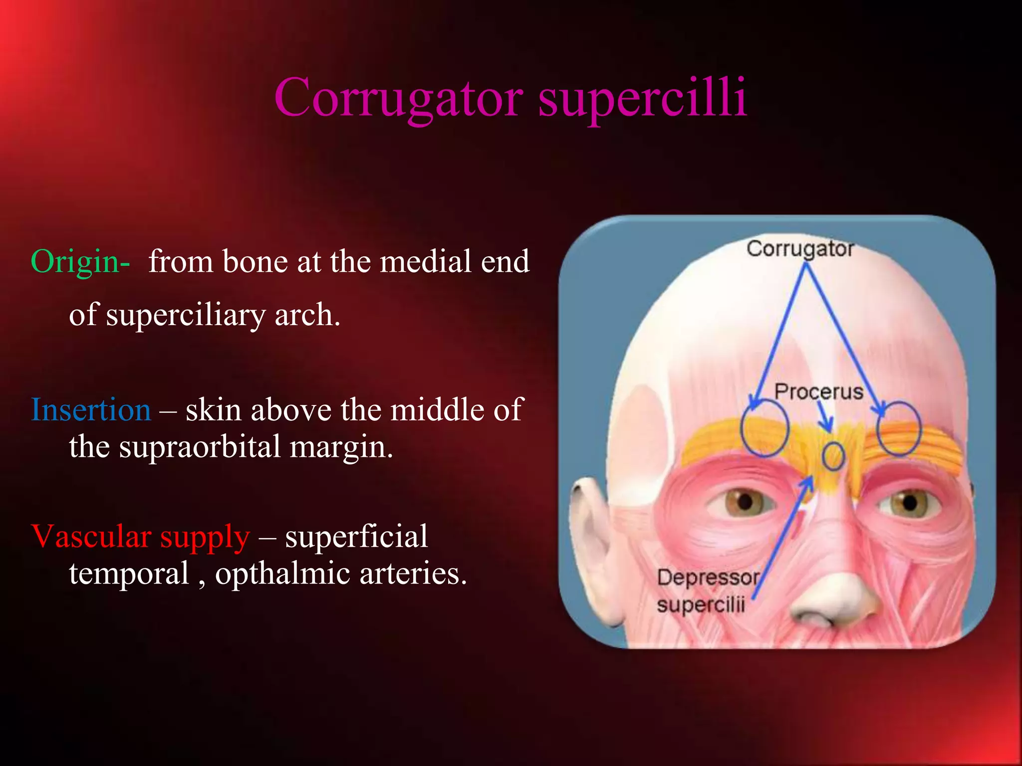 Muscles of facial expressions | PPTX