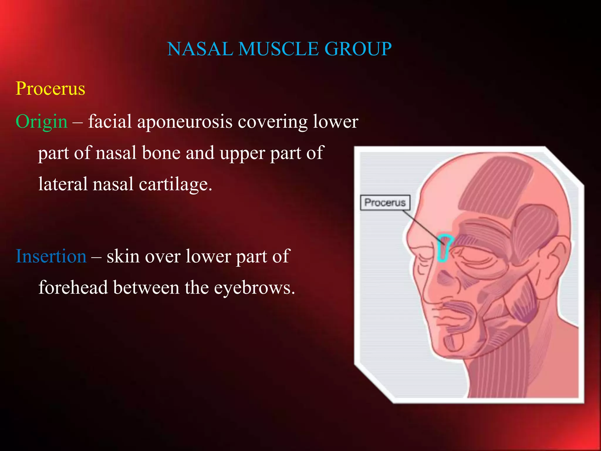Muscles of facial expressions | PPTX