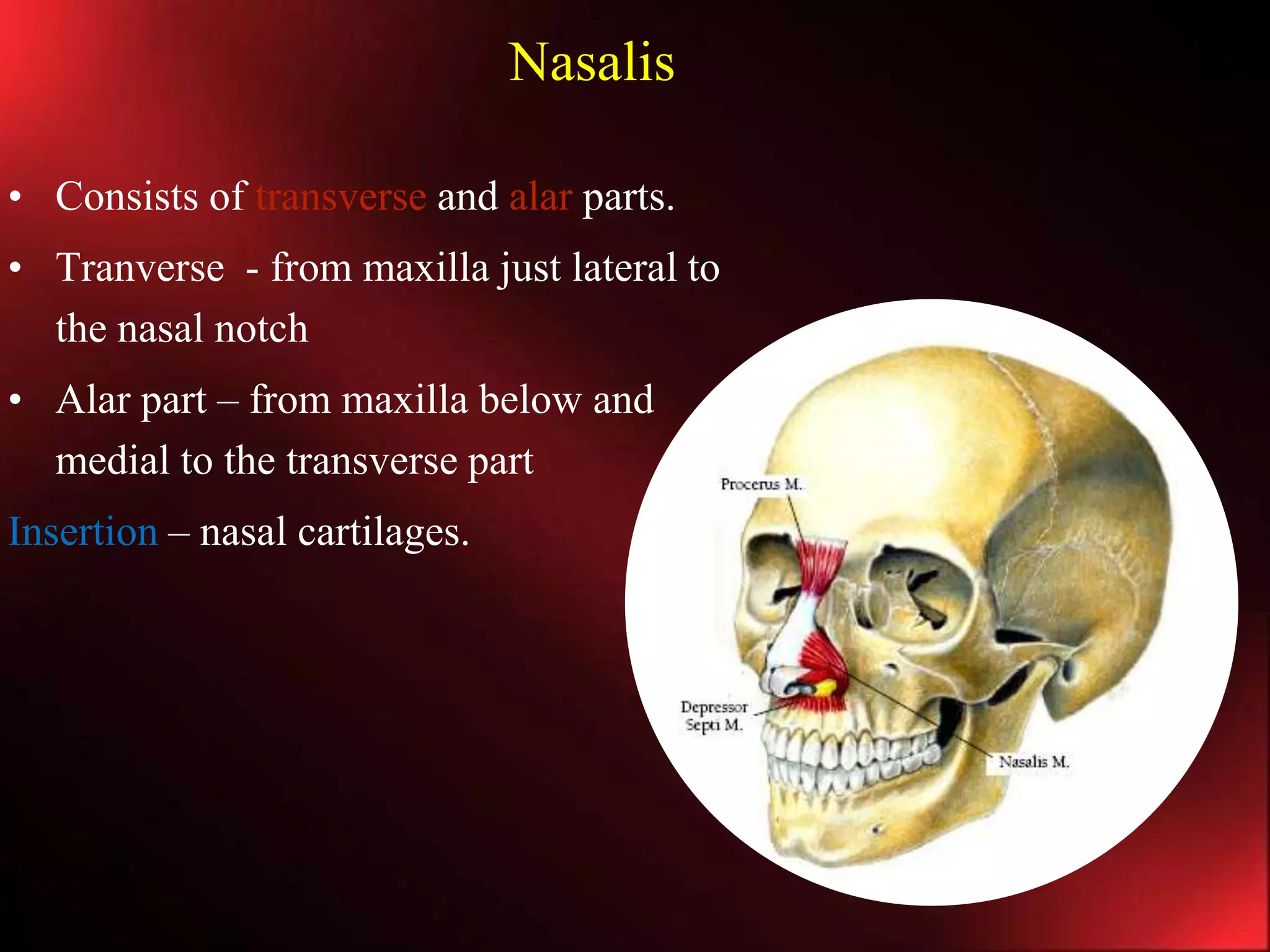Muscles of facial expressions | PPTX