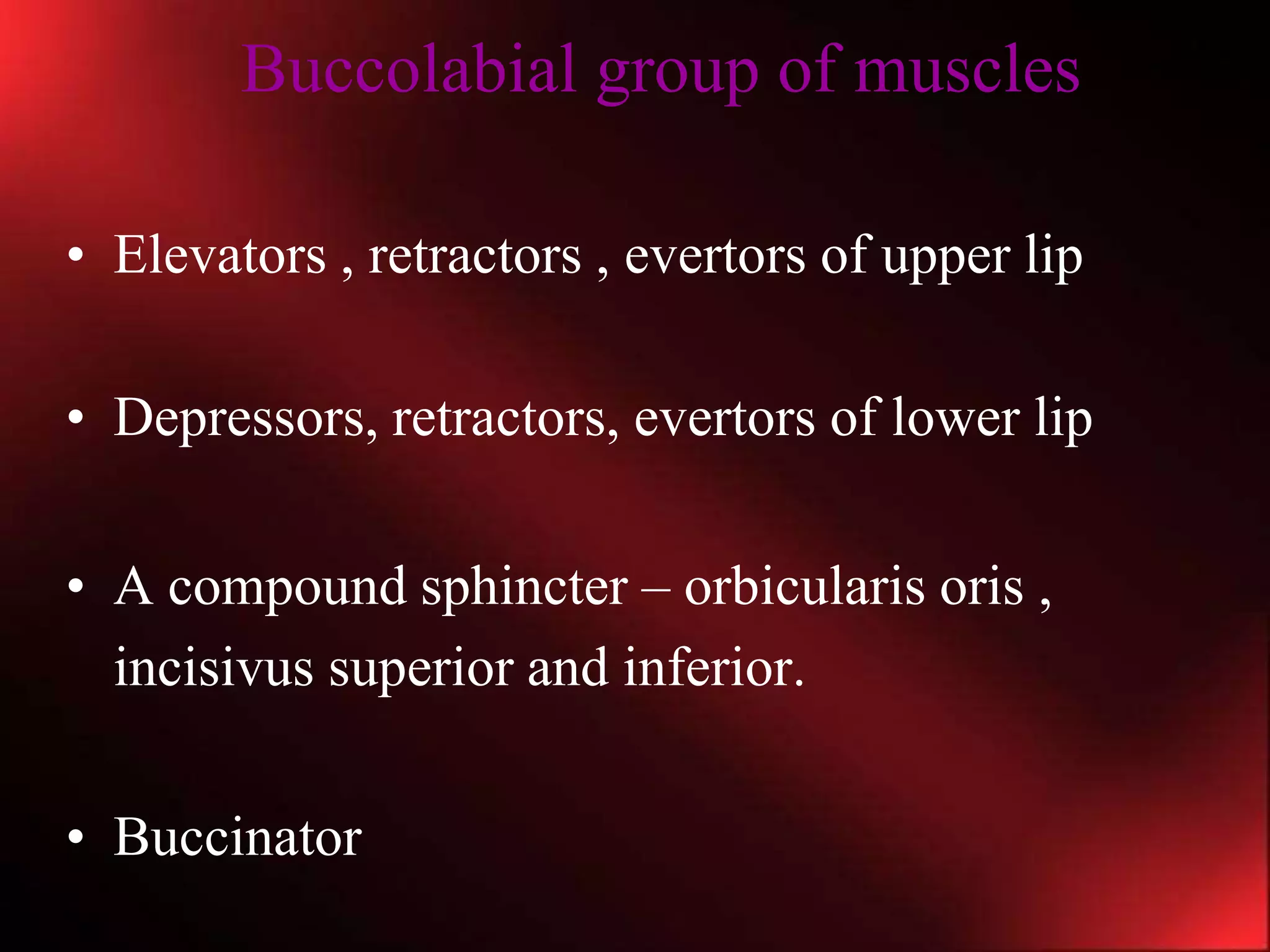 Muscles of facial expressions | PPTX