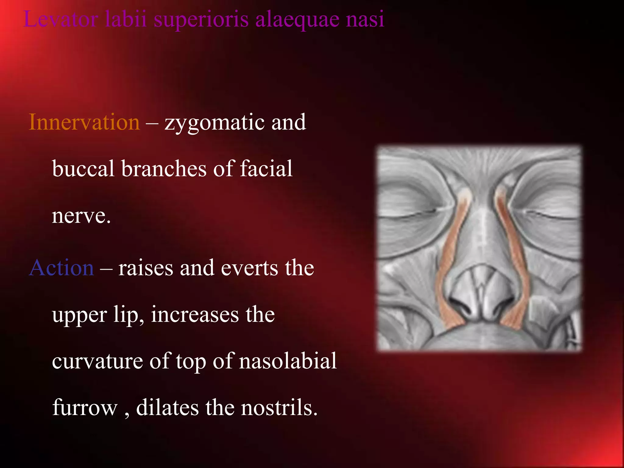 Muscles of facial expressions | PPTX