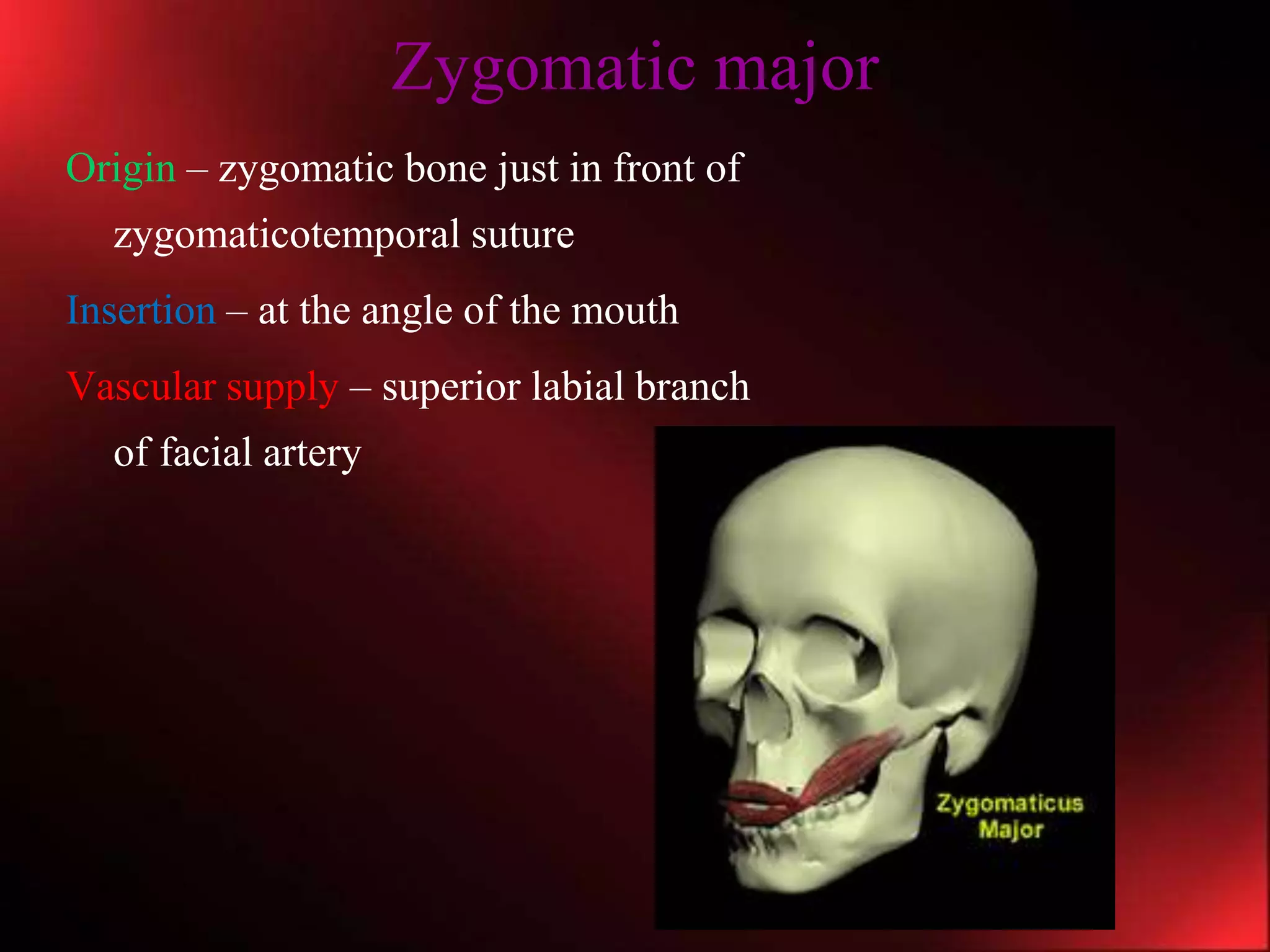Muscles of facial expressions | PPTX