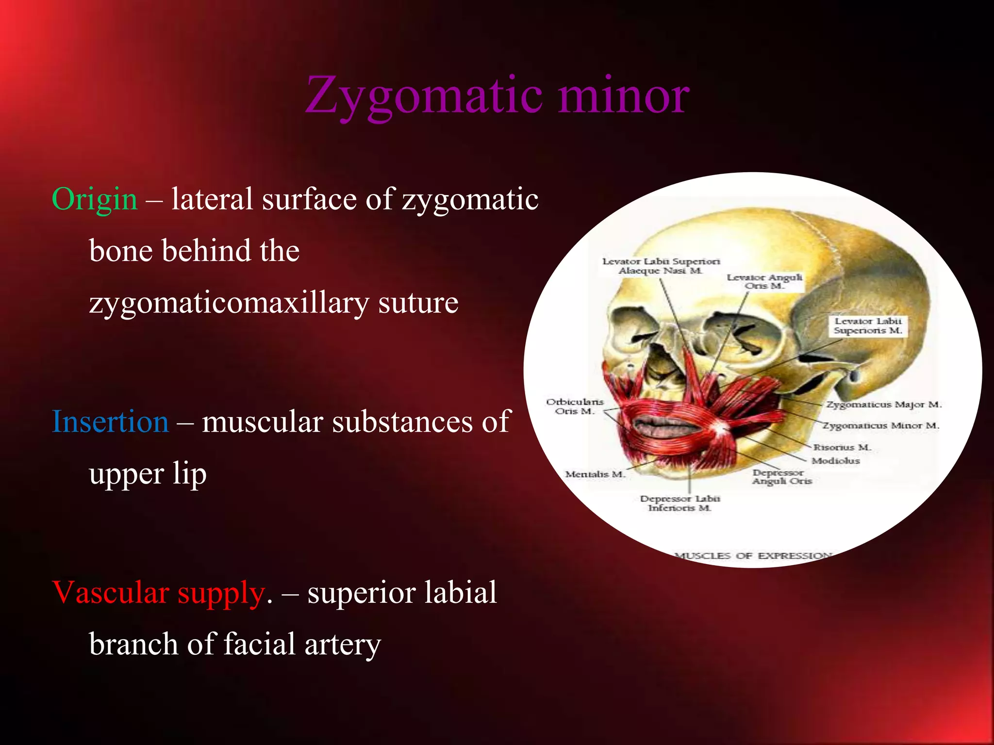 Muscles of facial expressions | PPTX