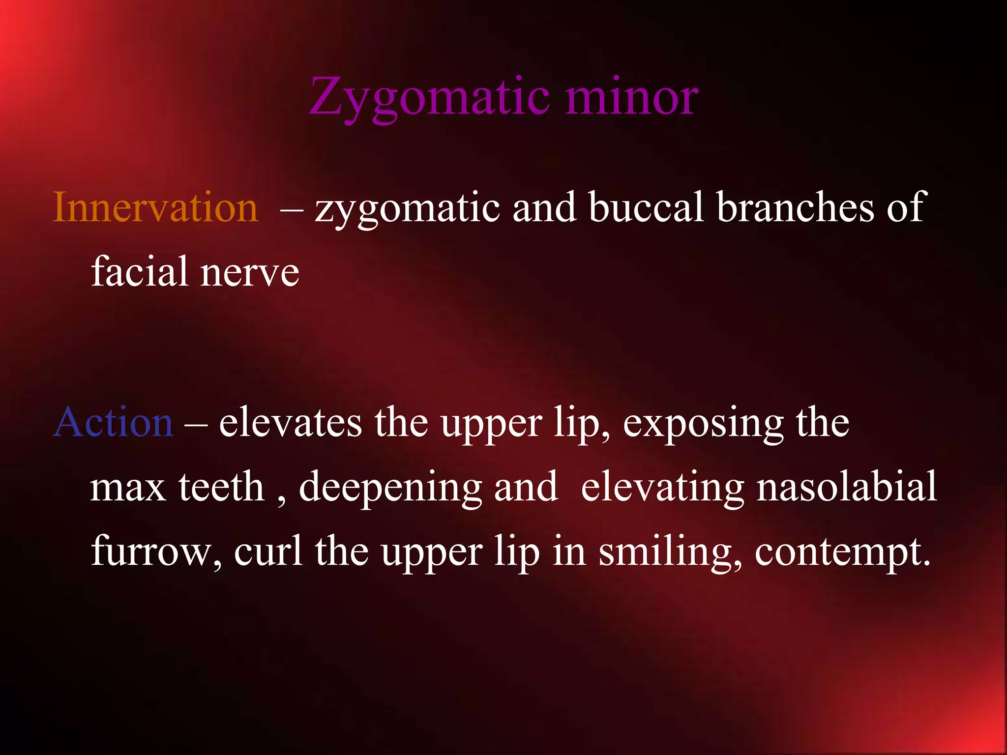 Muscles of facial expressions | PPTX
