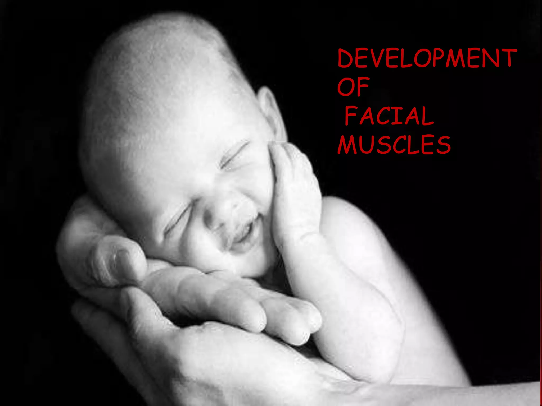 Muscles of facial expressions | PPTX