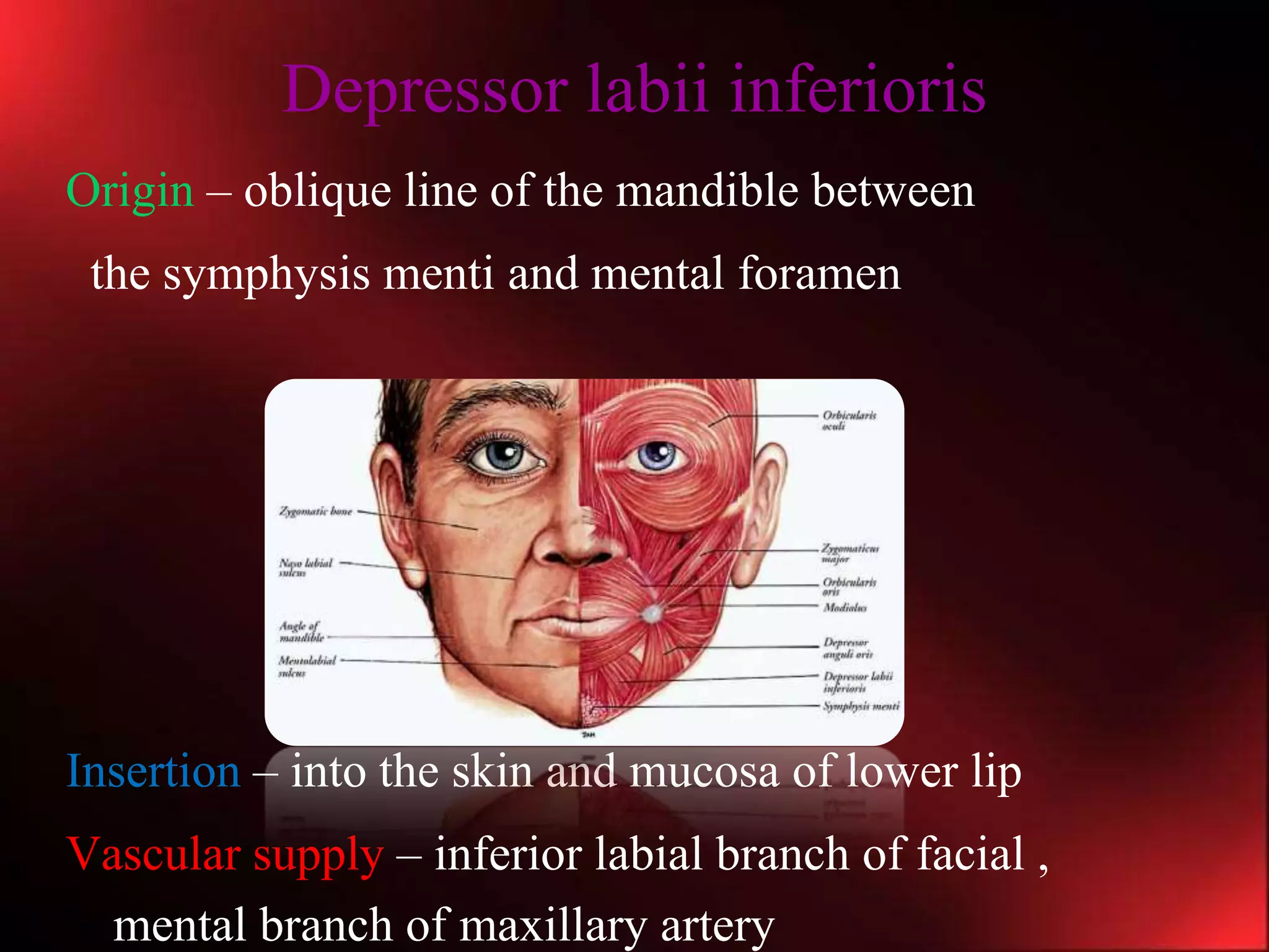Muscles of facial expressions | PPTX