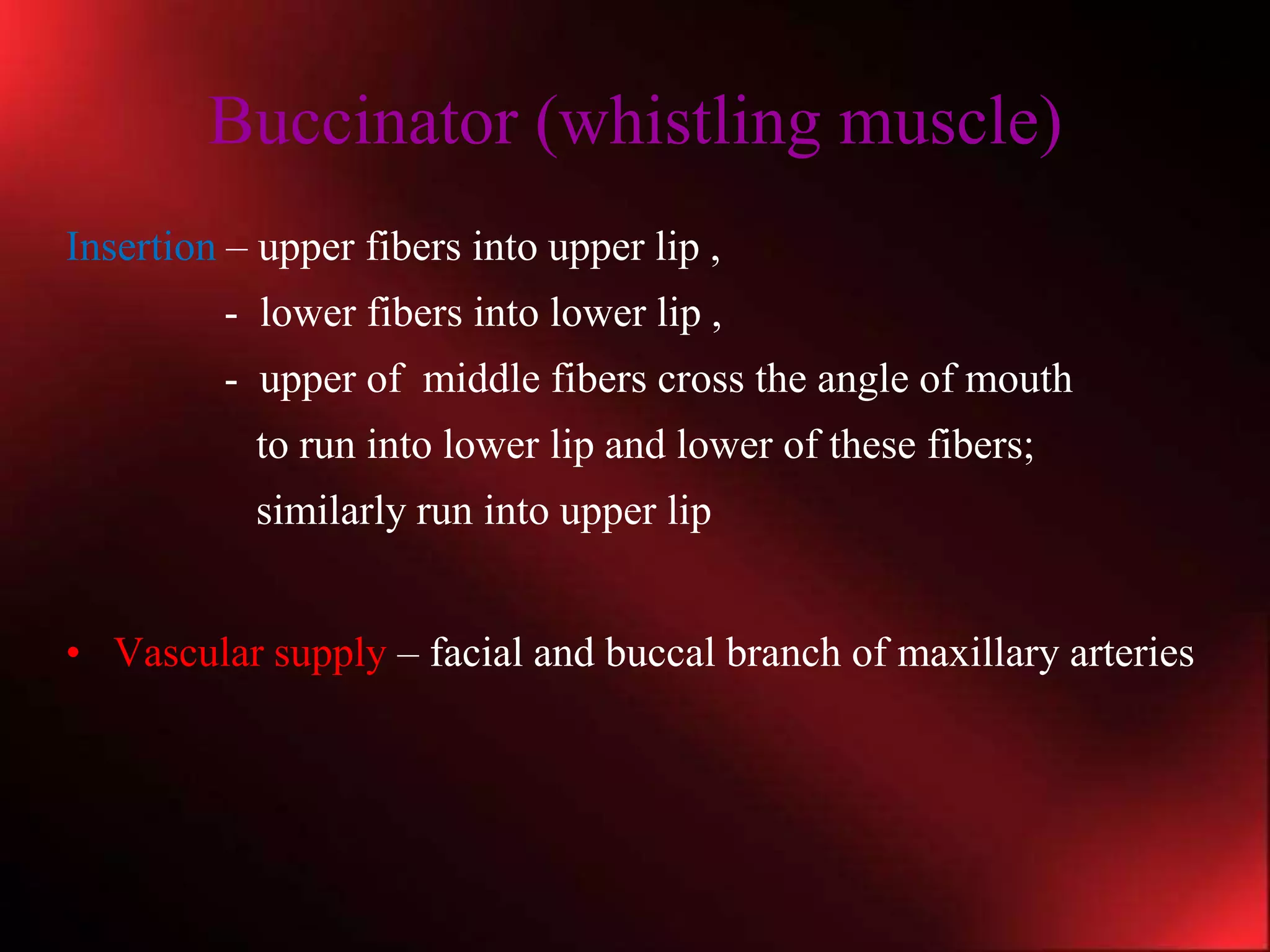 Muscles of facial expressions | PPTX