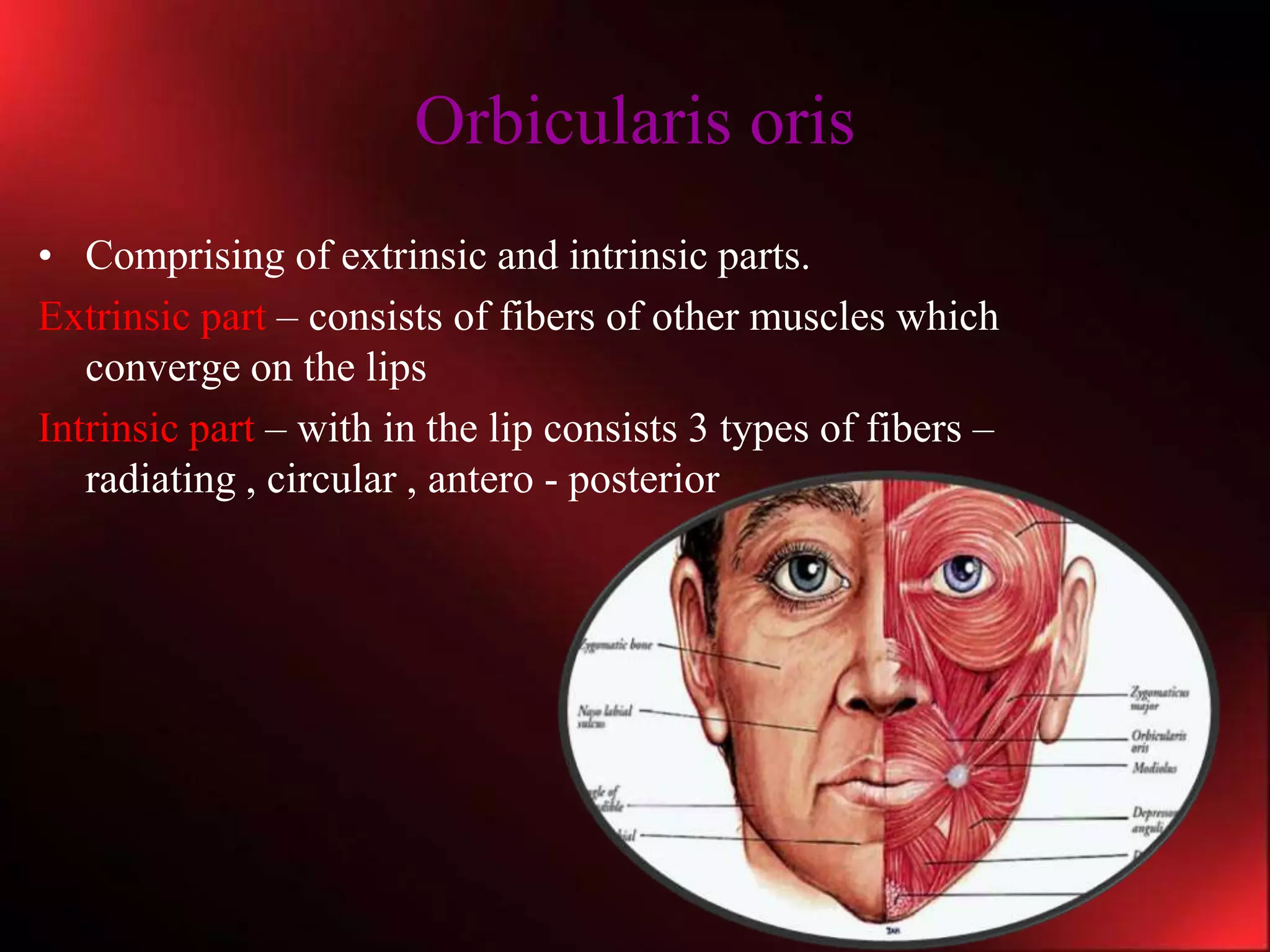 Muscles of facial expressions | PPTX