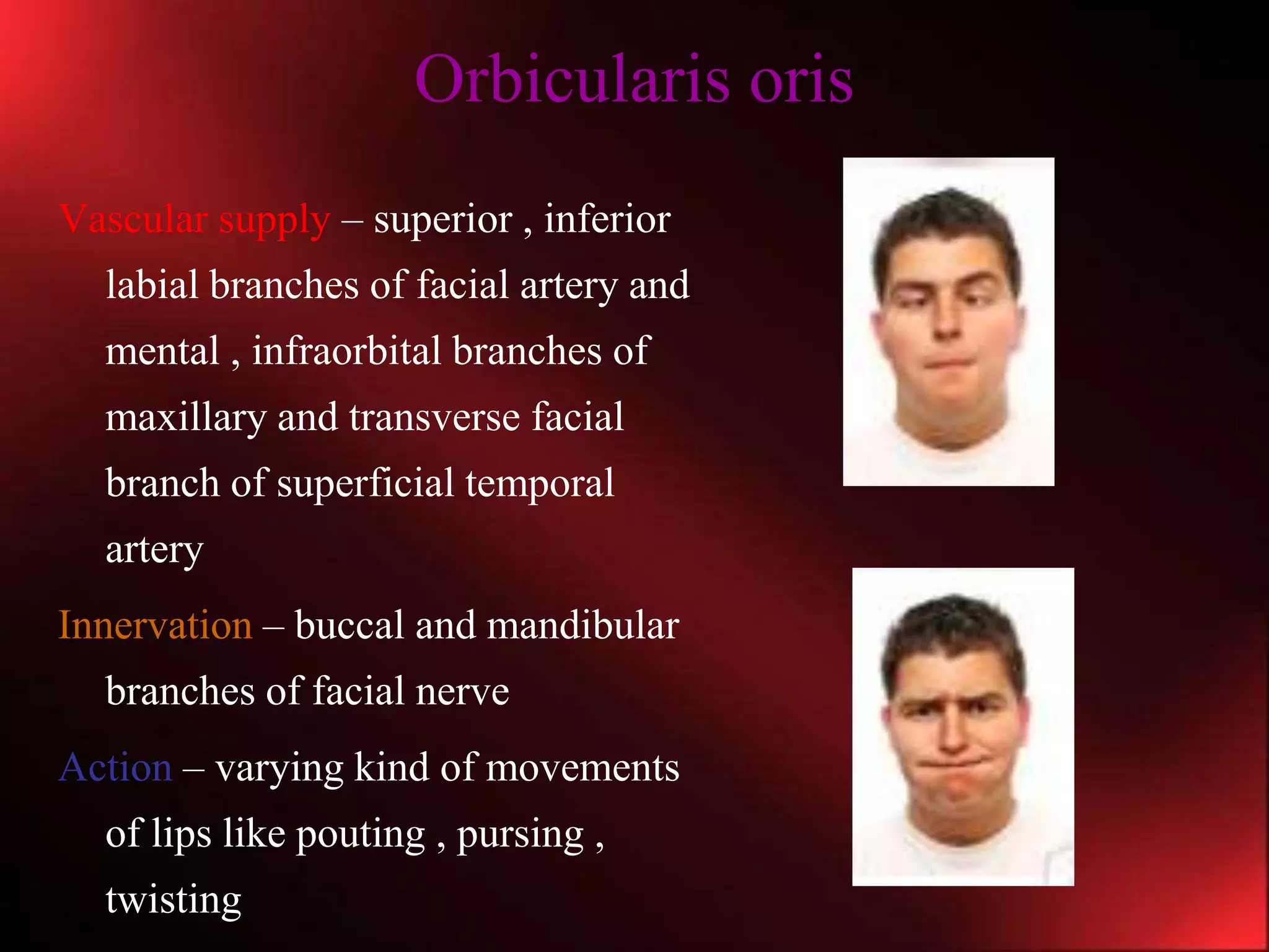 Muscles of facial expressions | PPTX