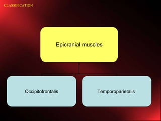 Muscles of facial expressions | PPTX
