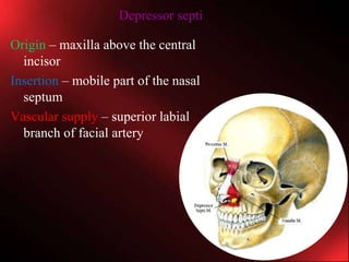 Muscles of facial expressions | PPTX