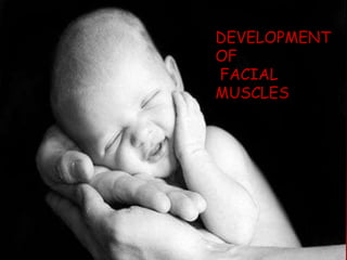 Muscles of facial expressions | PPTX